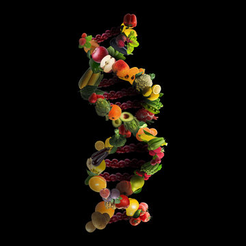 Nutrigenetics photos, royalty-free images, graphics, vectors & videos ...