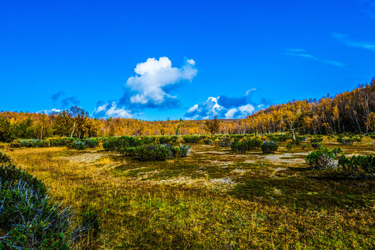 Kevo Images – Browse 40 Stock Photos, Vectors, and Video | Adobe Stock