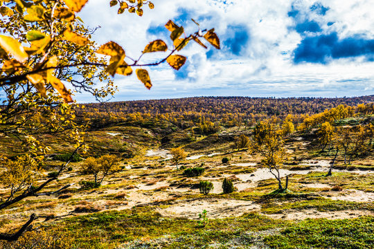 Kevo Images – Browse 40 Stock Photos, Vectors, and Video | Adobe Stock