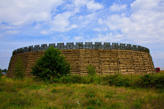 Slawe Images – Browse 40 Stock Photos, Vectors, and Video | Adobe Stock