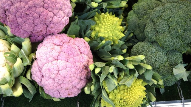 73 MELHORES IMAGENS, FOTOGRAFIAS E VETORES DO STOCK SOBRE Kohlarten ...