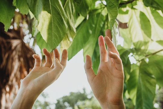 Toch Images – Parcourir 840 le catalogue de photos, vecteurs et vidéos ...