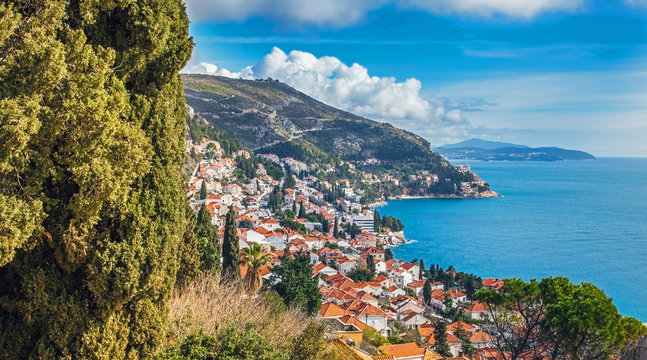 รูปภาพOmbla – เลือกดูภาพถ่ายสต็อก เวกเตอร์ และวิดีโอ99 | Adobe Stock