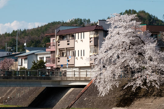 รูปภาพRyokuchi – เลือกดูภาพถ่ายสต็อก เวกเตอร์ และวิดีโอ157 | Adobe Stock