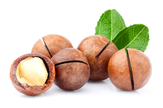 Cernel Images – Browse 43 Stock Photos, Vectors, and Video | Adobe Stock