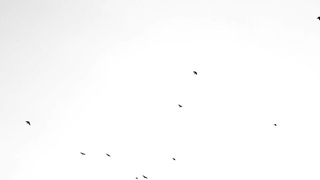 รูปภาพTurmoil – เลือกดูภาพถ่ายสต็อก เวกเตอร์ และวิดีโอ18,639 | Adobe Stock