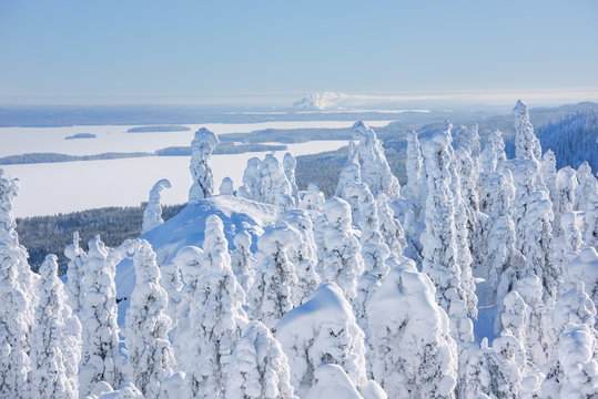 รูปภาพ"Koli – เลือกดูภาพถ่ายสต็อก เวกเตอร์ และวิดีโอ4,233 | Adobe Stock