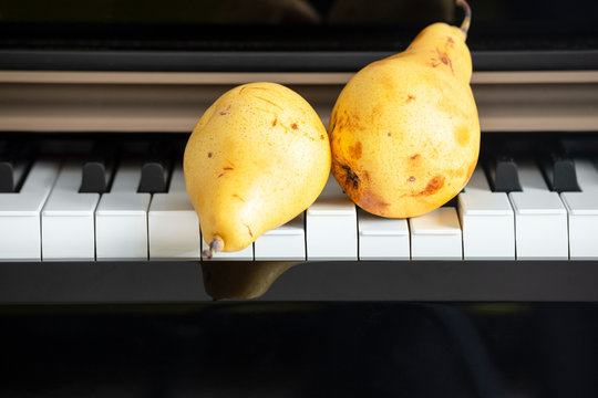 Contravene Images – Parcourir 3,786 le catalogue de photos, vecteurs et ...