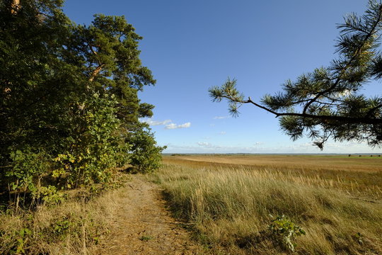 "Saaler Images – Browse 204 Stock Photos, Vectors, and Video | Adobe Stock