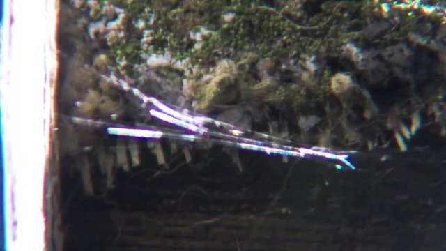 「Wwod」の写真素材 | 122件の無料イラスト画像 | Adobe Stock