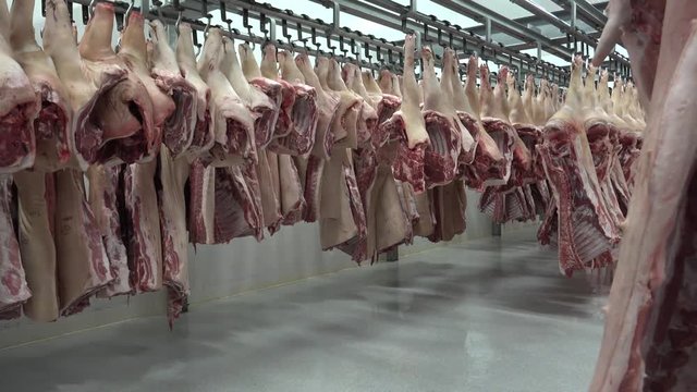 รูปภาพ"Pork Cuts" – เลือกดูภาพถ่ายสต็อก เวกเตอร์ และวิดีโอ113 | Adobe Stock