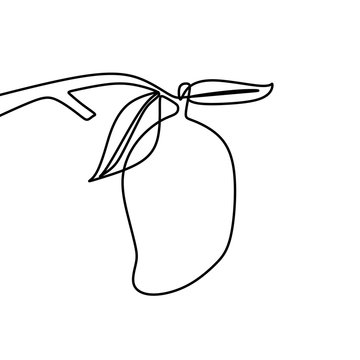 Mango Line Drawing Images – Browse 5,840 Stock Photos, Vectors, and ...