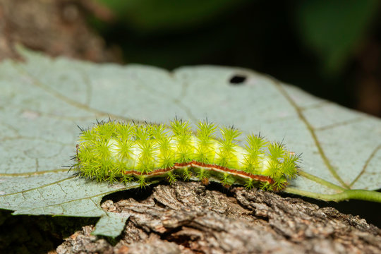 รูปภาพAutomeris – เลือกดูภาพถ่ายสต็อก เวกเตอร์ และวิดีโอ180 | Adobe Stock