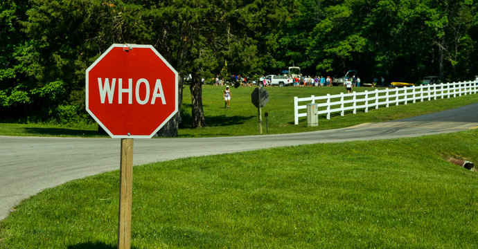 Whoa Images – Browse 251 Stock Photos, Vectors, and Video | Adobe Stock