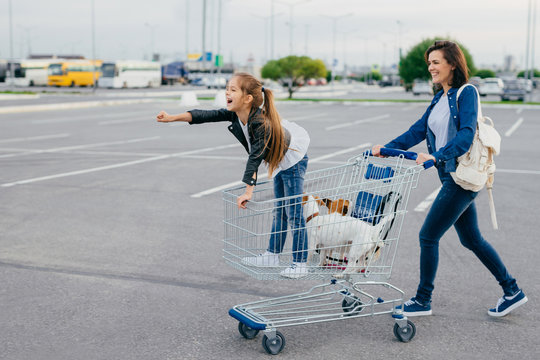 Purchsing Images – Browse 104 Stock Photos, Vectors, and Video | Adobe ...