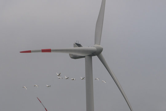 Guileless Bilder – Durchsuchen 1,126 Archivfotos, Vektorgrafiken und ...