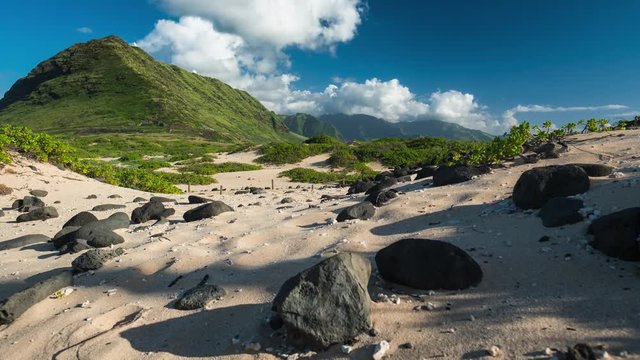 Kaena Imagens – Procure 855 fotos, vetores e vídeos | Adobe Stock