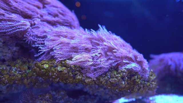 Undercurrent Bilder – Durchsuchen 457 Archivfotos, Vektorgrafiken und Videos | Adobe Stock