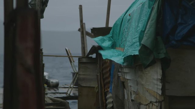 Deplorable Images – Browse 81,422 Stock Photos, Vectors, and Video ...