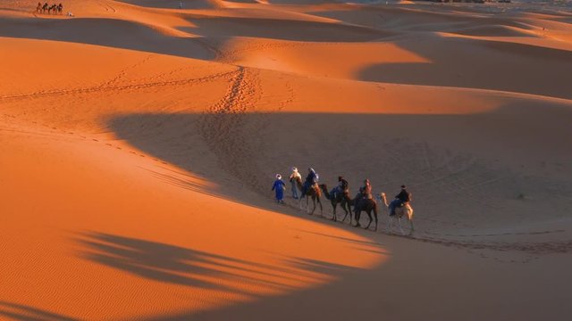 รูปภาพErg – เลือกดูภาพถ่ายสต็อก เวกเตอร์ และวิดีโอ21,325 | Adobe Stock