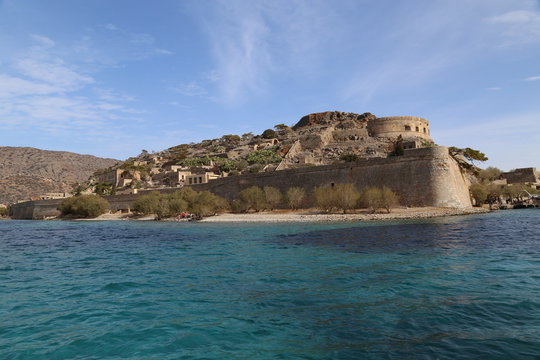 Lebra Images – Browse 27 Stock Photos, Vectors, and Video | Adobe Stock