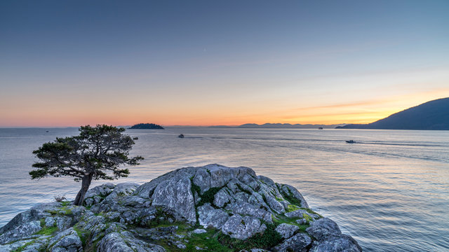 รูปภาพWhyte – เลือกดูภาพถ่ายสต็อก เวกเตอร์ และวิดีโอ299 | Adobe Stock