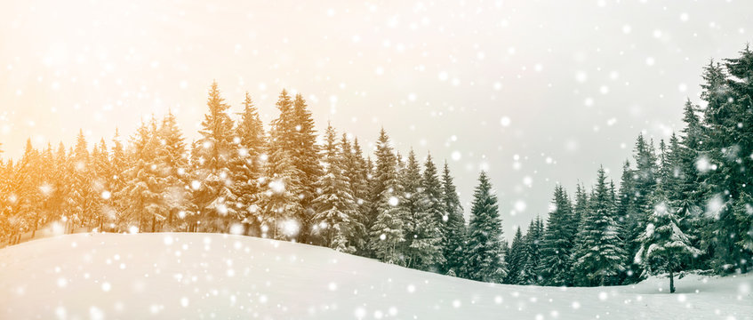 Free Winter Images – Browse 32,282 Free Stock Photos, Vectors, and ...