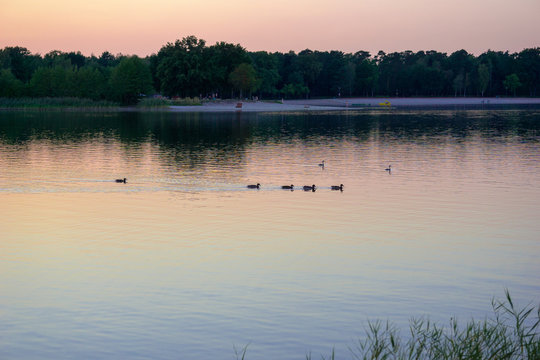 Tankumsee-Bilder: Stock-Fotos & -Videos. | Adobe Stock