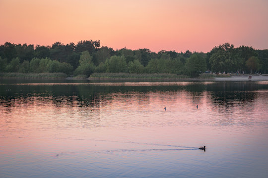 Tankumsee-Bilder: Stock-Fotos & -Videos. | Adobe Stock