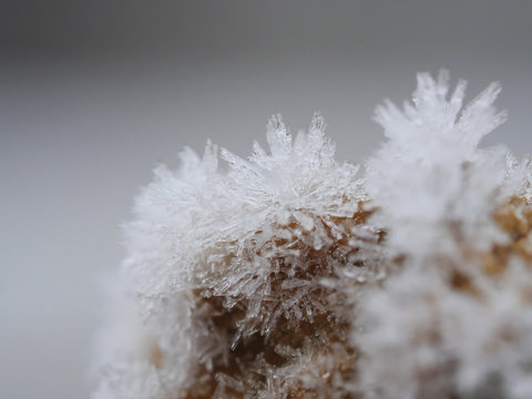 Algid 画像 - 参照 657 Stock 写真、ベクターおよびビデオ | Adobe Stock