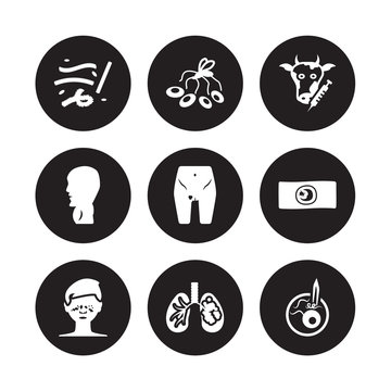 Loiasis Bilder – Durchsuchen 80 Archivfotos, Vektorgrafiken und Videos ...