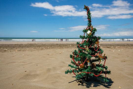 New Zealand Christmas Images – Browse 2,860 Stock Photos, Vectors, and ...