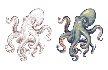 Pulpo morado con sombrero de pirata con botella de ron ilustración ...