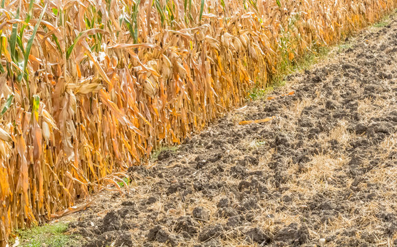 รูปภาพLabourage – เลือกดูภาพถ่ายสต็อก เวกเตอร์ และวิดีโอ525 | Adobe Stock