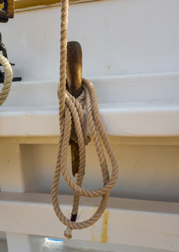 Imágenes de Gantline: descubre bancos de fotos, ilustraciones, vectores ...