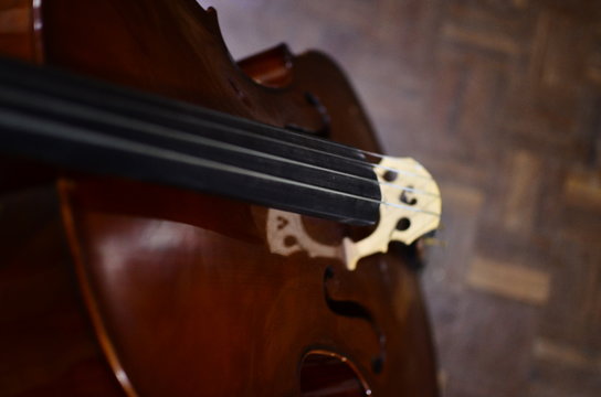 Violoncelo Images – Browse 57 Stock Photos, Vectors, and Video | Adobe ...
