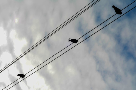 Electrik Bilder – Durchsuchen 131 Archivfotos, Vektorgrafiken und ...