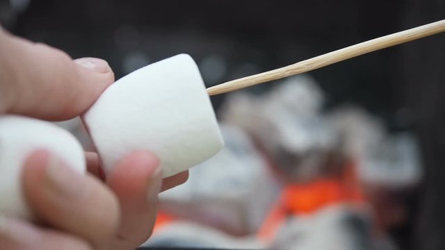 "Toasting Marshmallow" Images – Browse 28 Stock Photos, Vectors, and ...