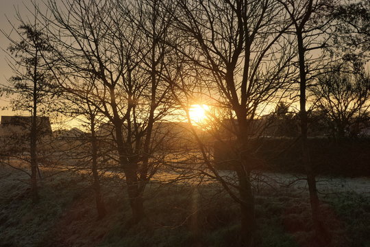 รูปภาพOchtend – เลือกดูภาพถ่ายสต็อก เวกเตอร์ และวิดีโอ354 | Adobe Stock