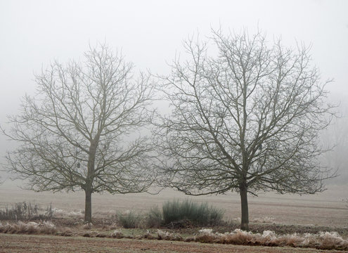 Nartur - Images et vidéos libres de droits | Adobe Stock