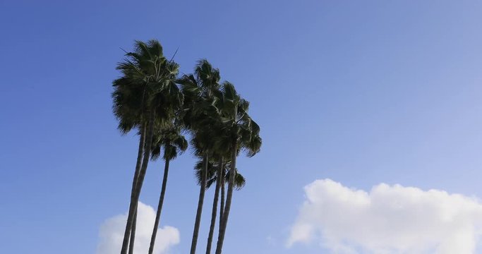 Coronado Images – Browse 7,178 Stock Photos, Vectors, and Video | Adobe ...