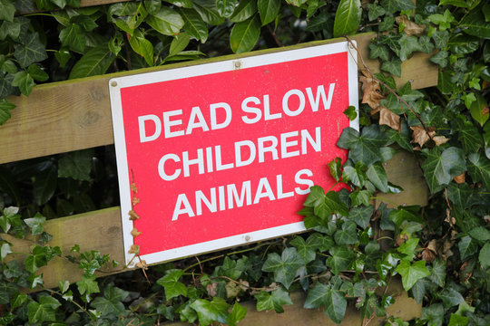 "Dead Slow" Images – Browse 33 Stock Photos, Vectors, and Video | Adobe ...