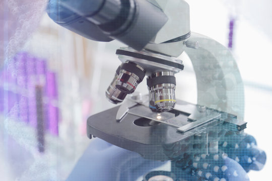 Labo Bilder – Durchsuchen 2,852 Archivfotos, Vektorgrafiken und Videos ...