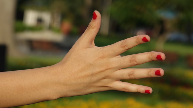 Female Knuckles Bilder – Durchsuchen 2,504 Archivfotos, Vektorgrafiken ...
