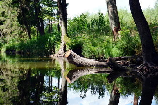 Sapina Bilder – Durchsuchen 31 Archivfotos, Vektorgrafiken und Videos ...
