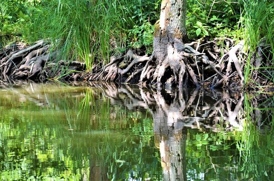 Sapina Bilder – Durchsuchen 30 Archivfotos, Vektorgrafiken und Videos ...