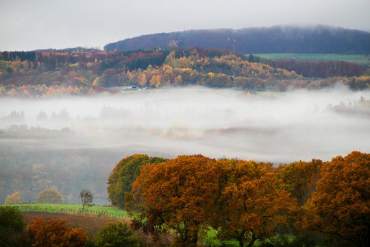 「Herbstbild」の写真素材 | 984件の無料イラスト画像 | Adobe Stock