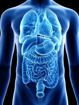 รูปภาพInternal – เลือกดูภาพถ่ายสต็อก เวกเตอร์ และวิดีโอ384,129 | Adobe ...