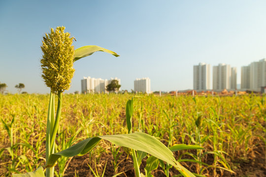 Solam Images – Browse 58 Stock Photos, Vectors, and Video | Adobe Stock