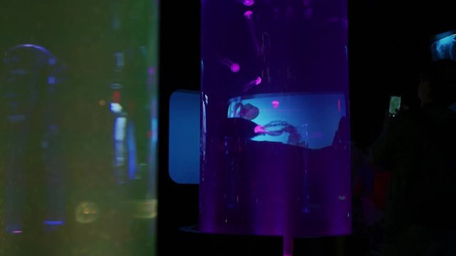 Inside Water Tank Images – Browse 14,085 Stock Photos, Vectors, and ...